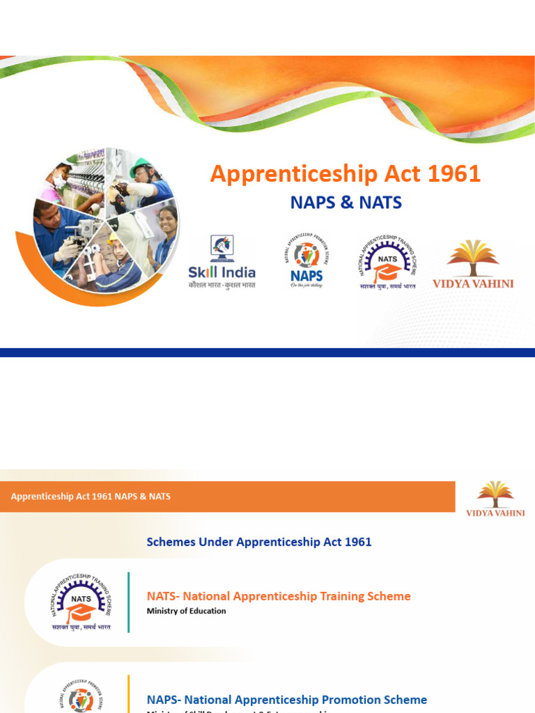 NAPS & NATS Overview-1 | PDF | Apprenticeship | Employment