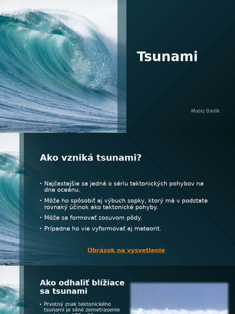 Tsunami | PDF