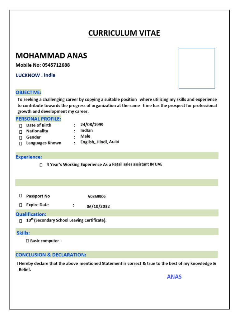 Anas New CV PDF | PDF