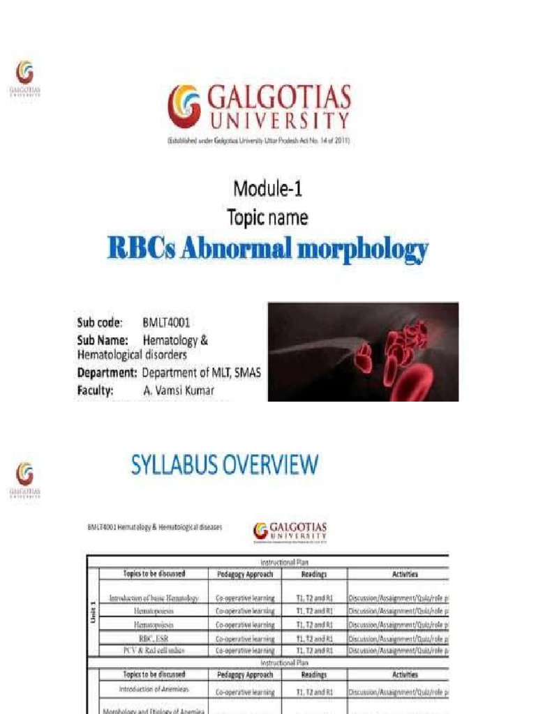 015012ee-bb20-402e-b5f1-6de89e45c6a9 | PDF