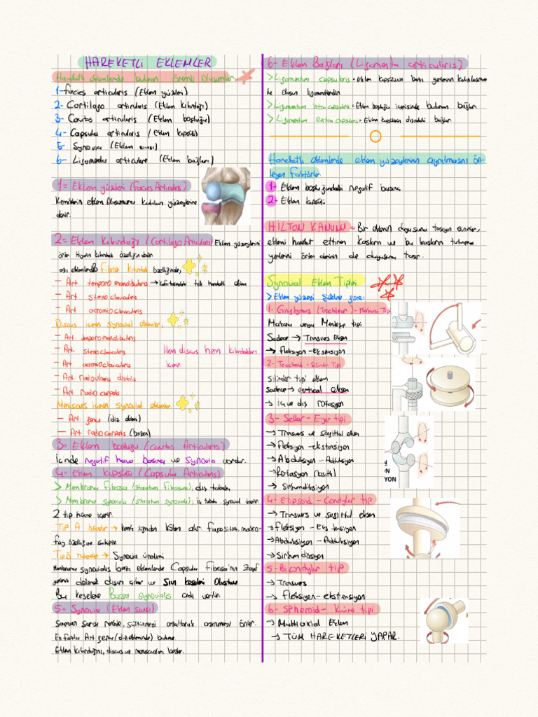 Hareketli̇ Eklemler 2 | PDF