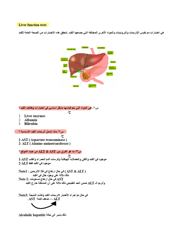 Liver Function Test | PDF