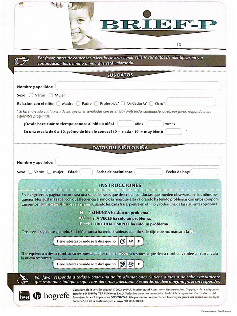 Brief Cuadernillo Completo | PDF