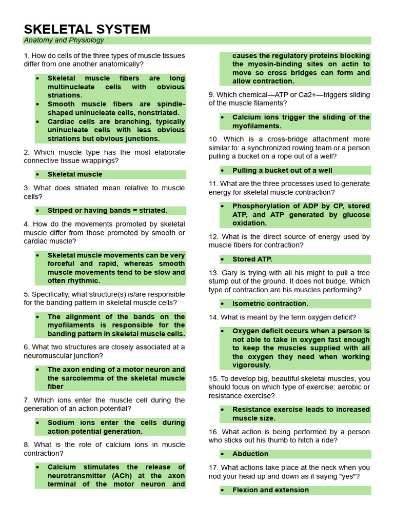Skeletal-System | PDF | Muscle Contraction | Skeletal Muscle