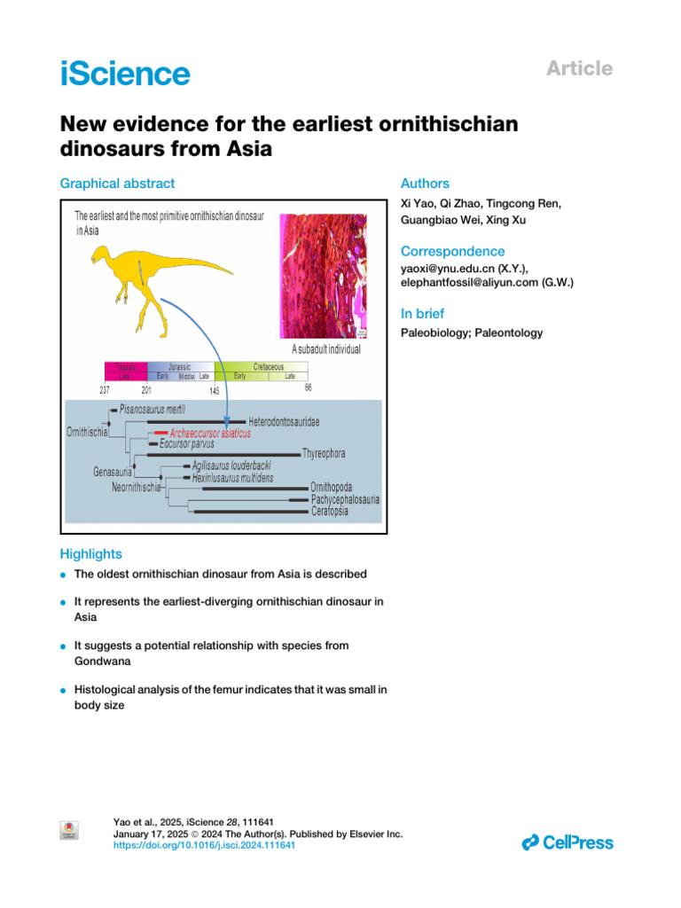 Yao Et Al. 2025 Archaeocursor Asiaticus | PDF | Anatomical Terms Of ...