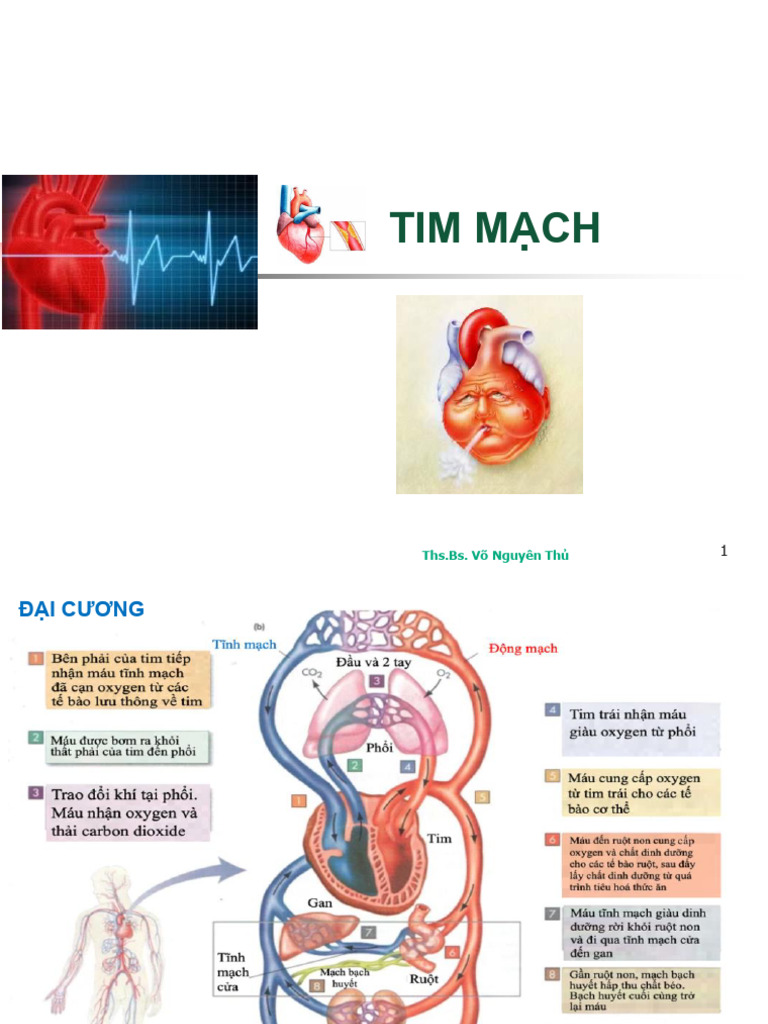 Benh Hoc Tim Mạch | PDF