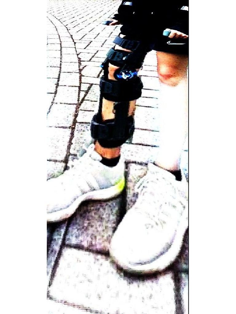 PDFReader 20250119 2131 | PDF