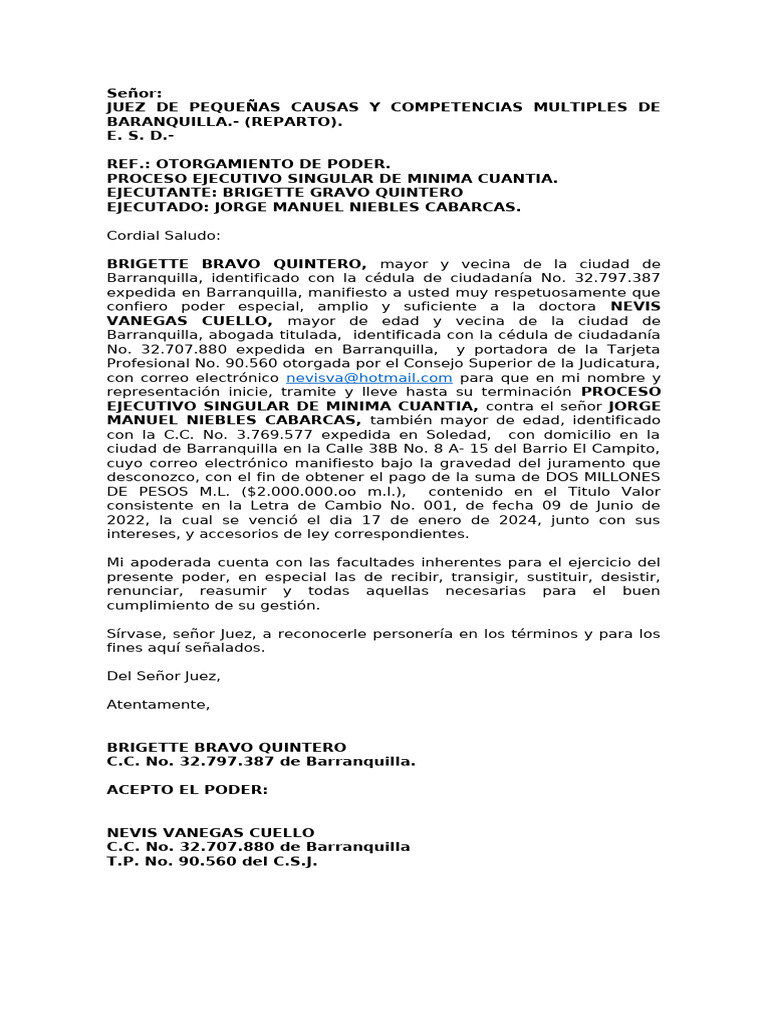 Poder Proceso Ejecutivo Brigette Bravo 2 | PDF