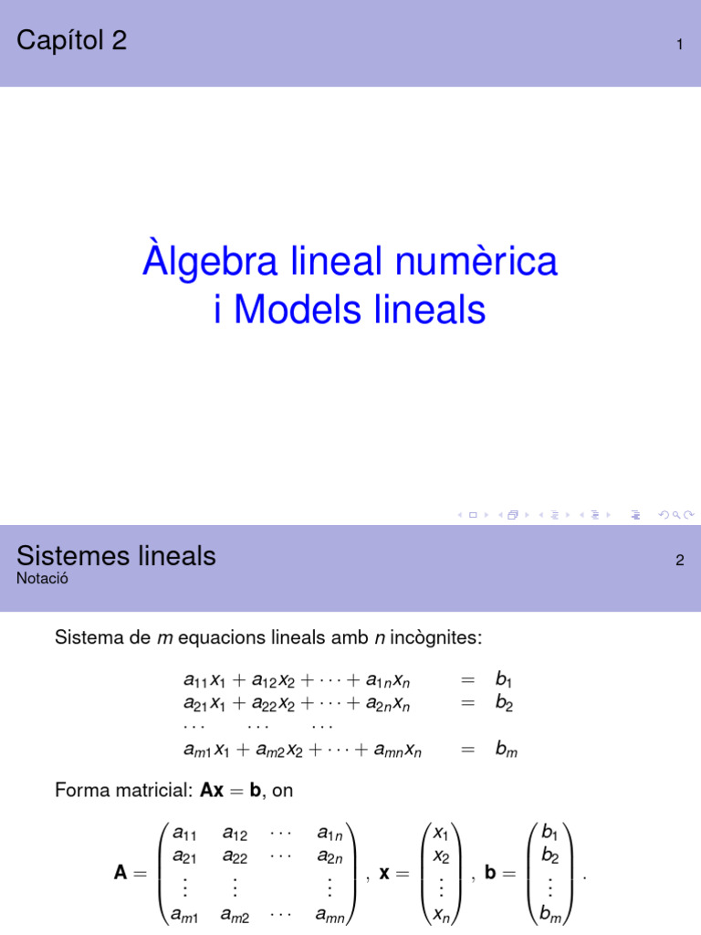 Tema 2. Algebra Lineal Numèrica I Models Lineals | PDF