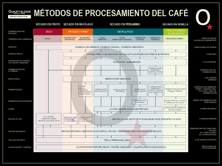 POSTER PROCESOS QUALITY | PDF | Cosecha