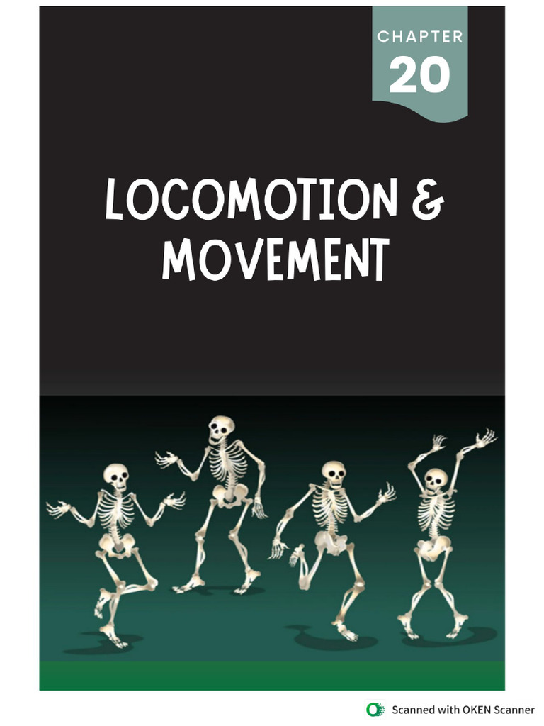 Locomotion and Movement | PDF