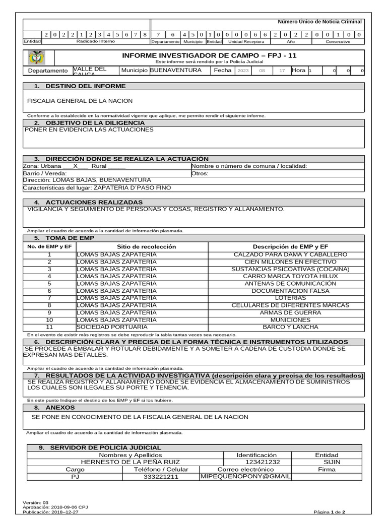 FPJ 11 Informe Investigador de Campo V 0 | PDF