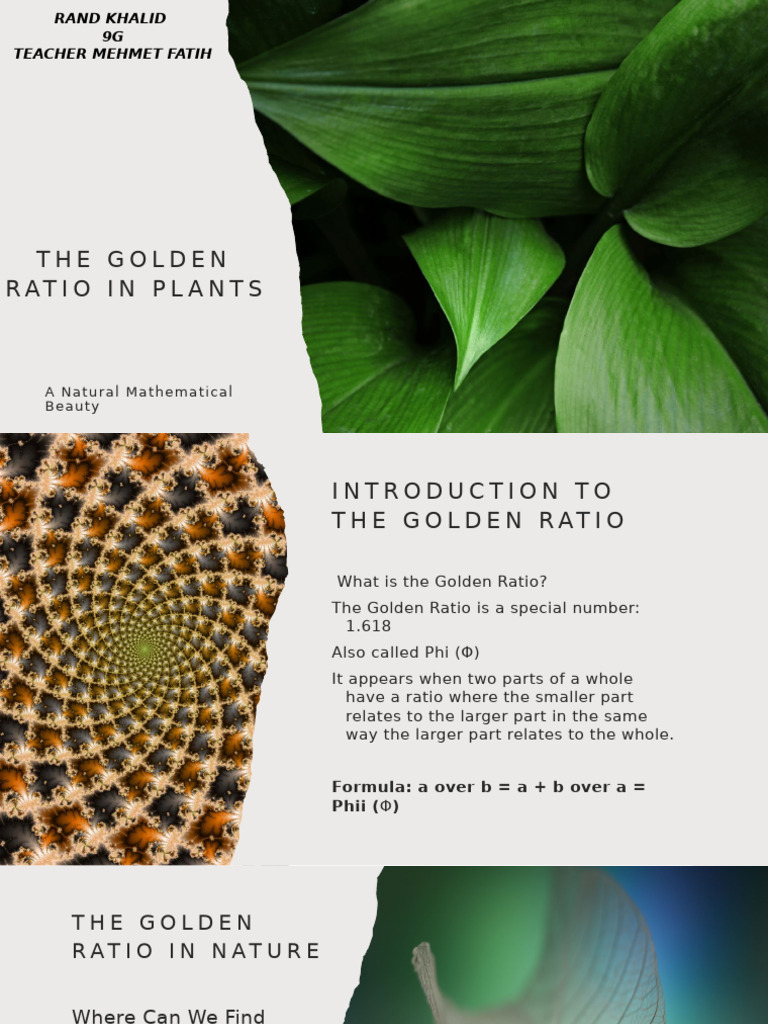 Presentation 3 | PDF
