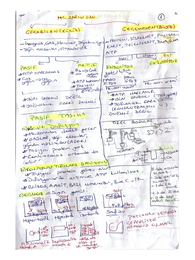 Hatice Hoca El Yazması Part1 | PDF