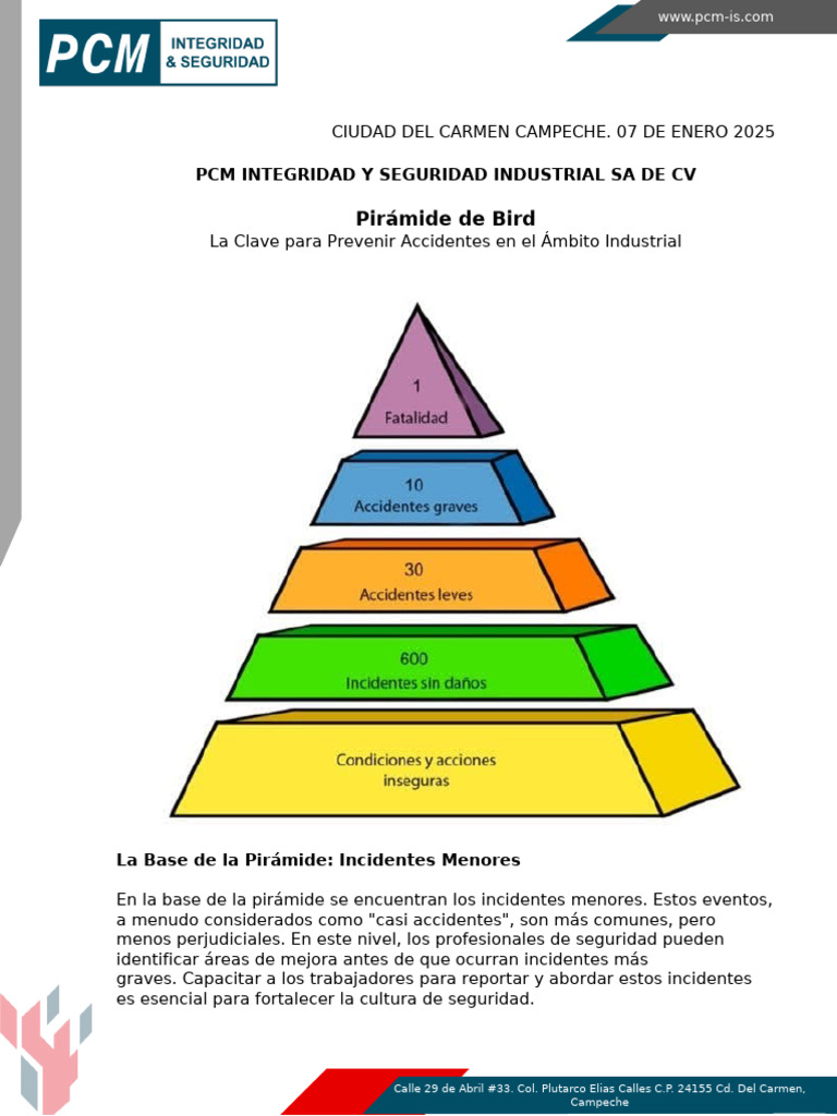 16 - Piramide de Bird | PDF | Business