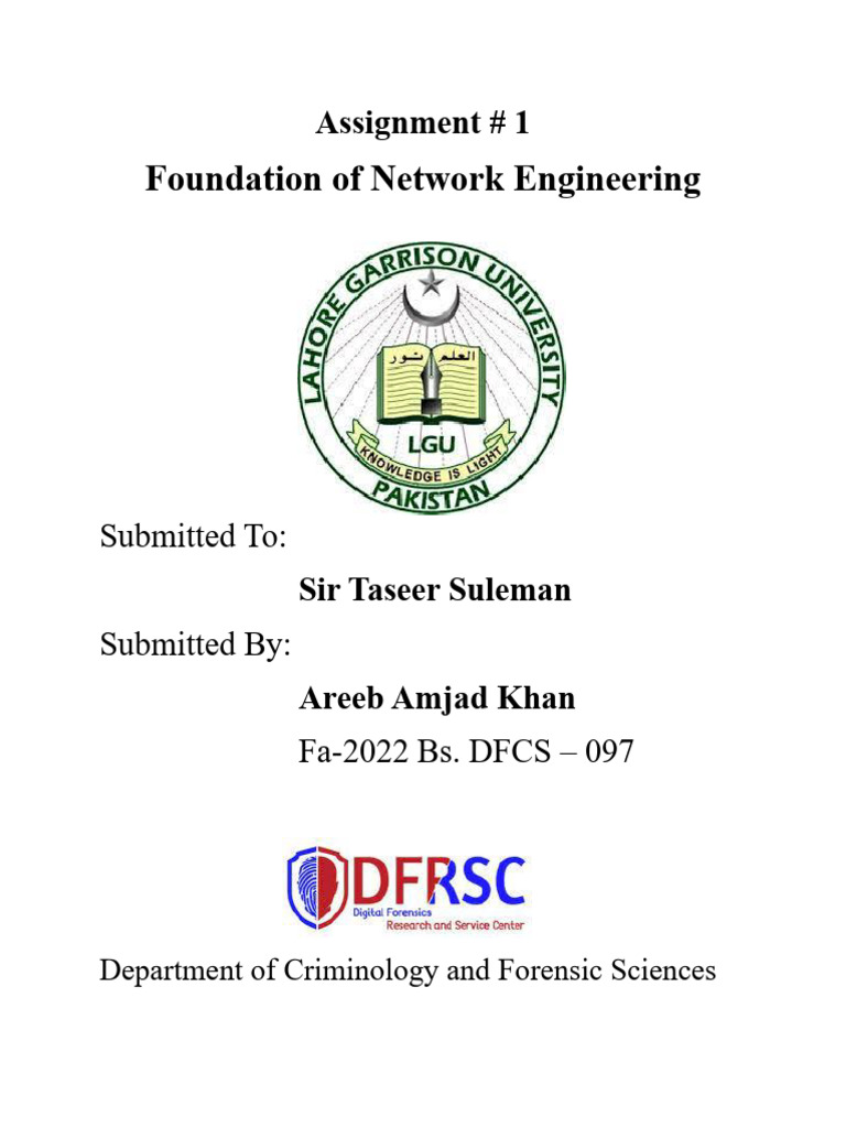 Networking Assignment (AreeB) | PDF | Internet Protocols | Data Transmission