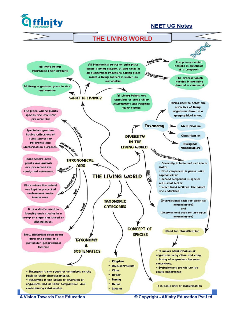 The Living World Detailed Notes | PDF | Taxonomy (Biology) | Metabolism