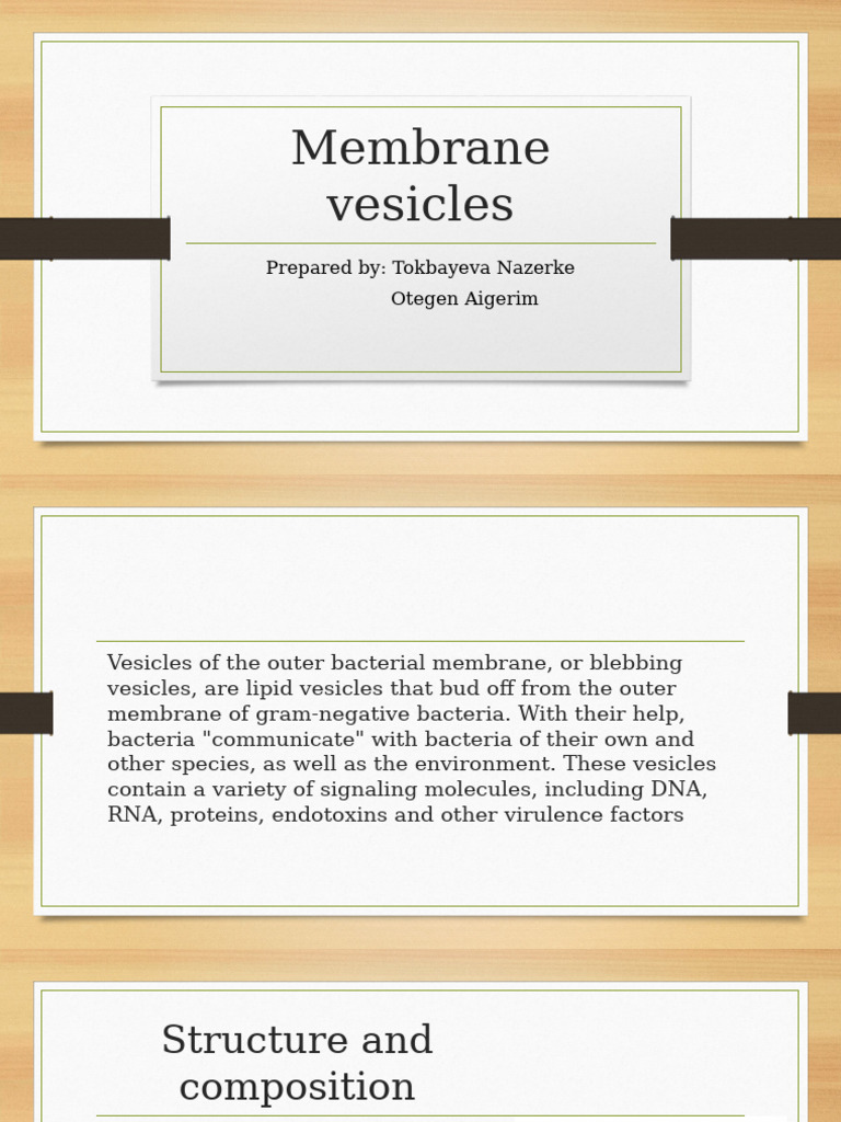 презентация | PDF | Cell Membrane | Endoplasmic Reticulum