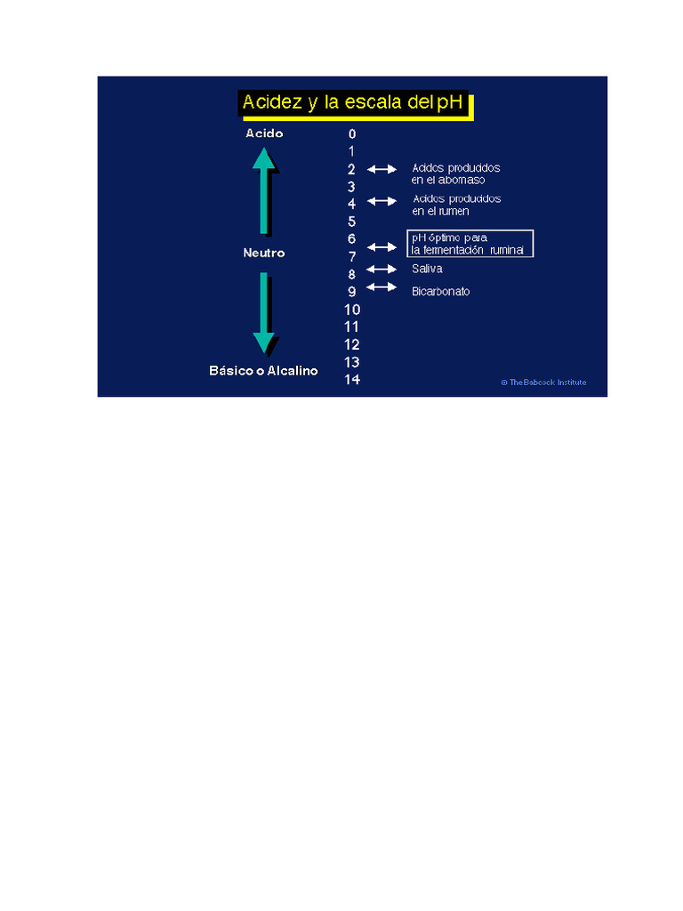Acidez y escala del pH en el rumen | PDF