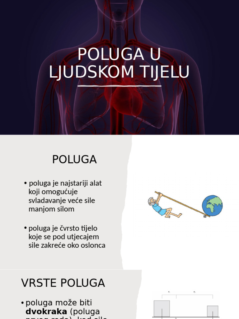 POLUGA U LJUDSKOM TIJELU-Fizika | PDF