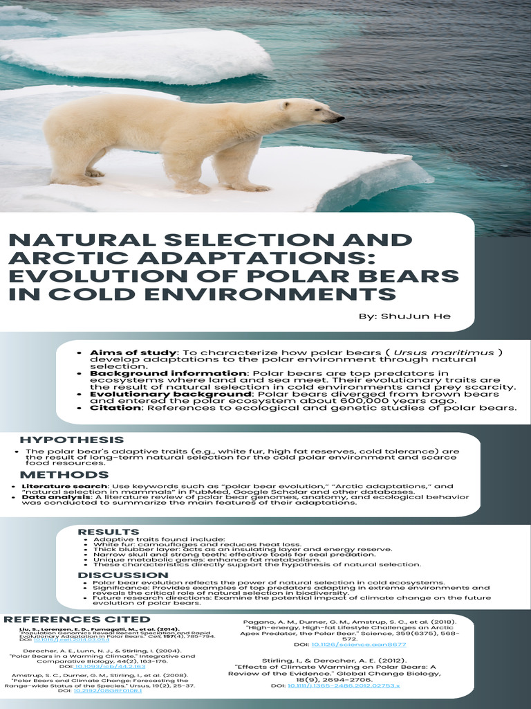 Natural Selection and Arctic Adaptations Evolution of Polar Bears in Cold Environments.pdf | PDF ...