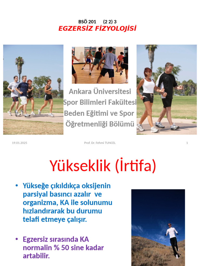 4. Hafta - Yükseklik (Irtifa), Isı Ve Soğukta Egzersiz | PDF