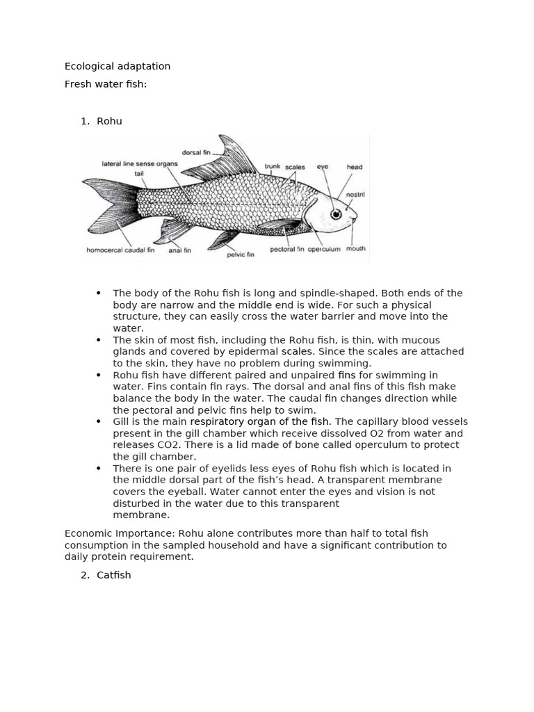 Ecological adaptation | PDF | Salmon | Fish