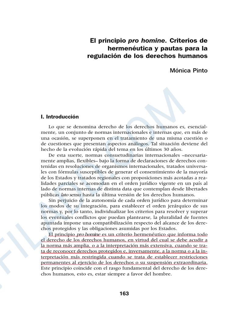 Principio Pro Homine en Derechos Humanos | PDF | Derechos humanos ...