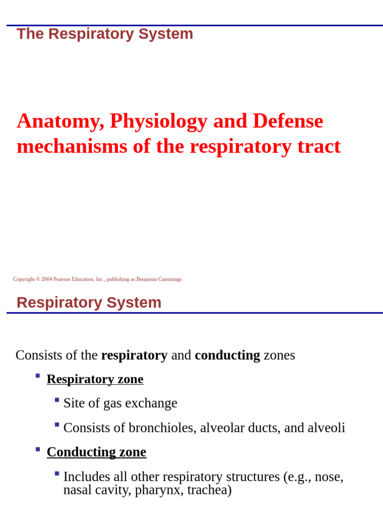 Anatomy and Physiology of Respiratory System | PDF | Respiratory Tract ...