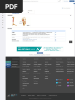 R3 SmithandNephew Acetabular System | PDF