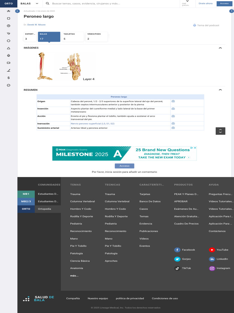 Peroneo Largo - Anatomía - Orthobullets | PDF | Pie | Tobillo