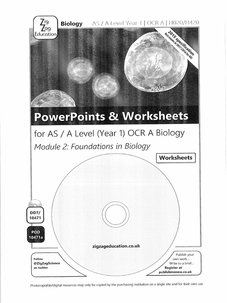 Module 2 worksheets | PDF