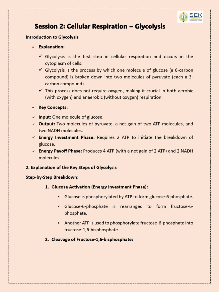 Glycolysis Overview and Key Steps | PDF | Cellular Respiration | Glycolysis
