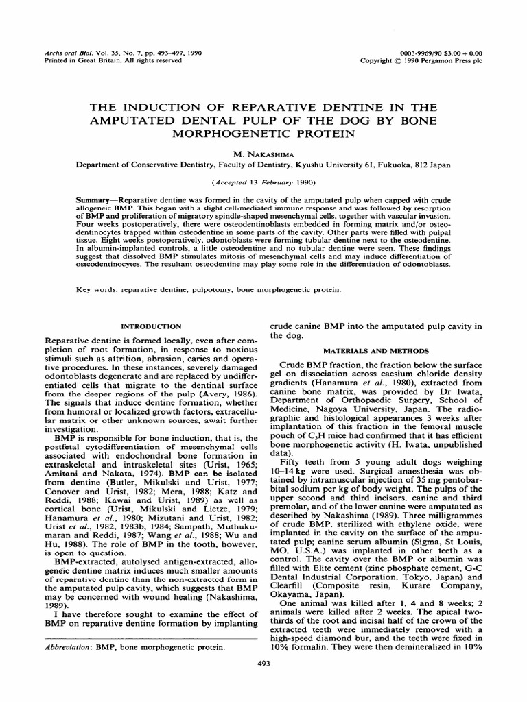 The Induction of Reparative Dentine in The Amputated Dental Pulp of The ...