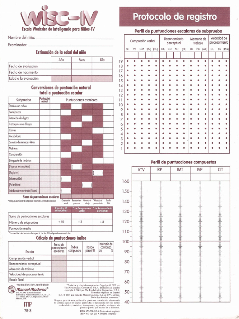 WISC IV - Protocolo de Registro | PDF