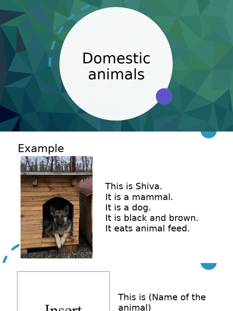 Domestic Animals | PDF