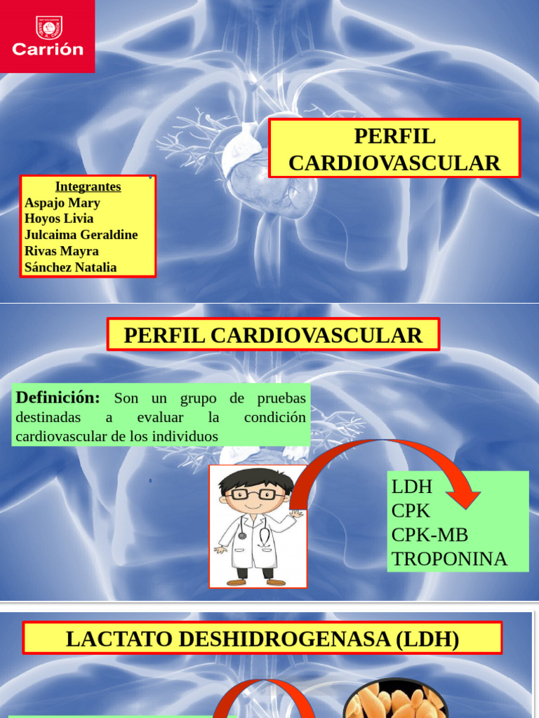 Pruebas de Perfil Cardiovascular | PDF