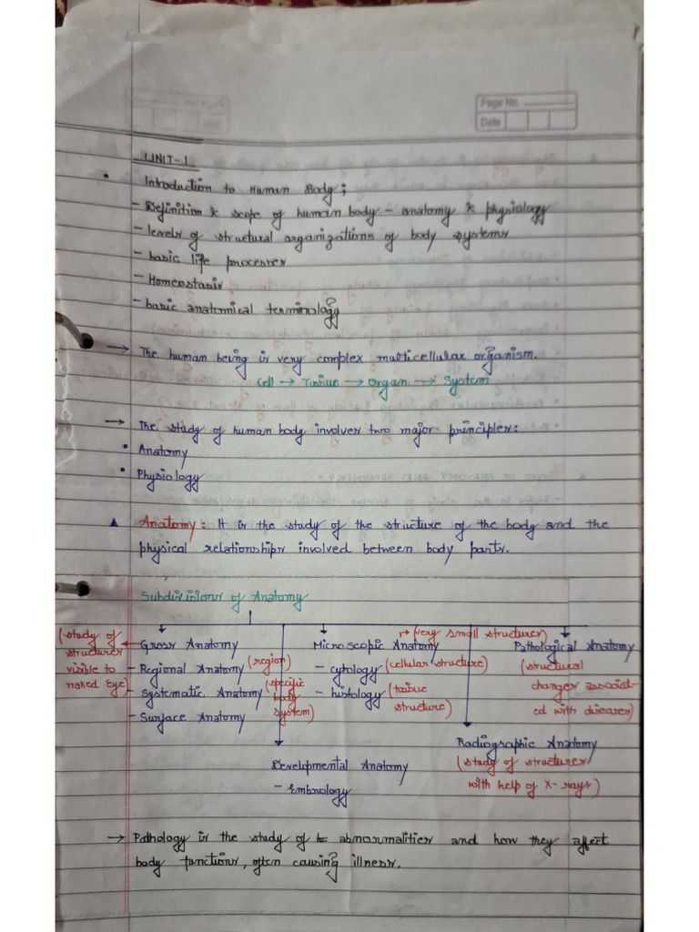 HAP 1 (Sem 1) | PDF