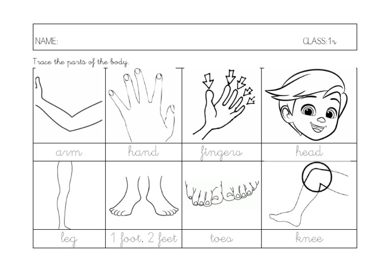 Trace Parts Body | PDF