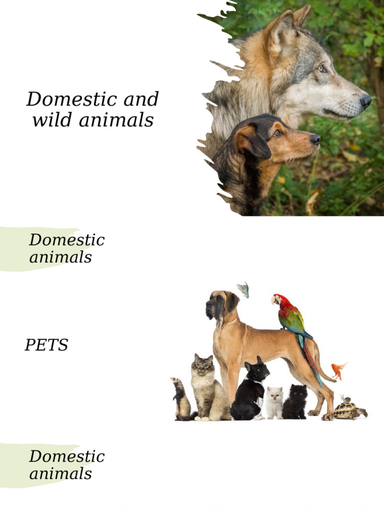 2. Domestic and wild animals | PDF
