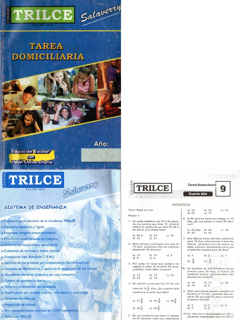 Tarea Domiciliaria Trilce Salaverry 2002 | PDF