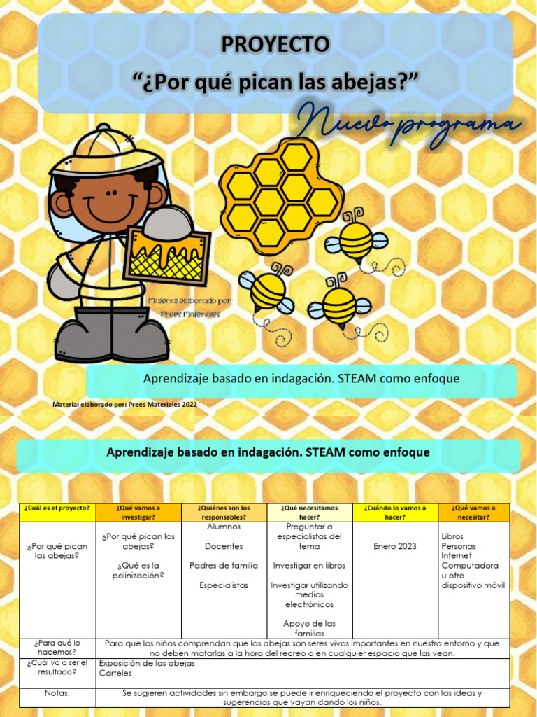 PROYECTO Abejas STEAM-1 | PDF | Maestros | Aprendizaje