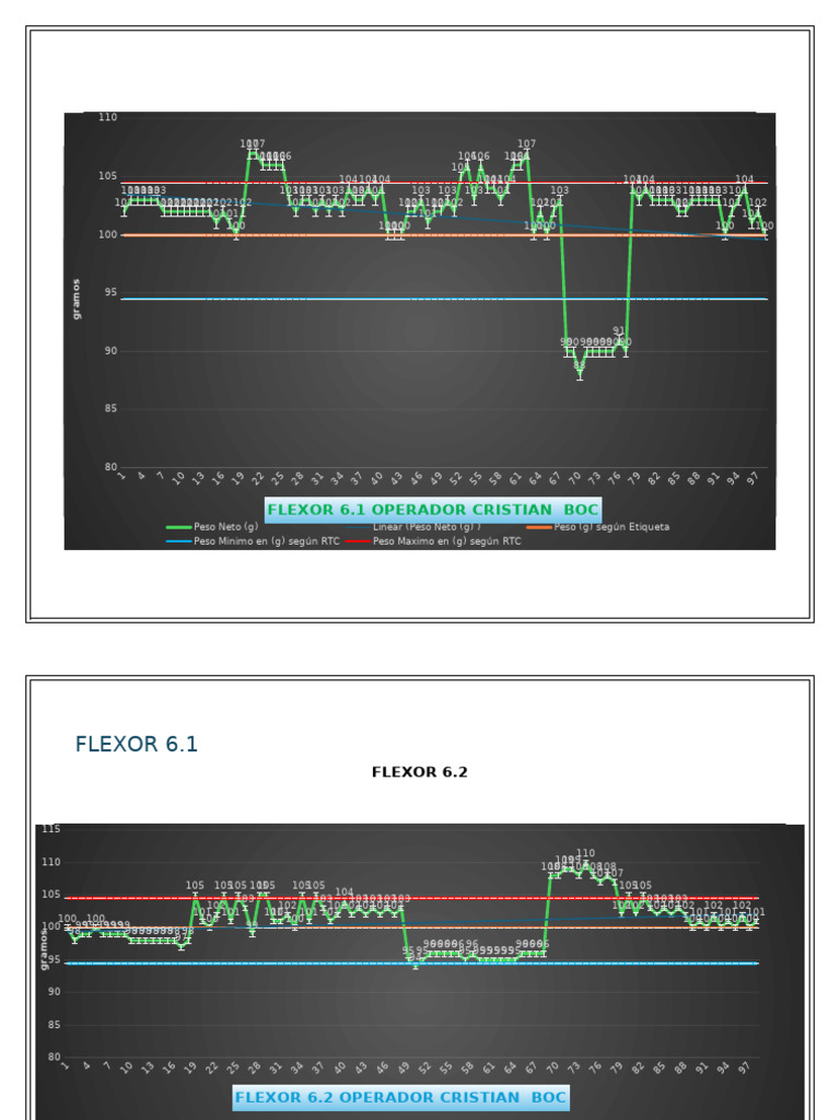 Flexor 6.1.2 | PDF