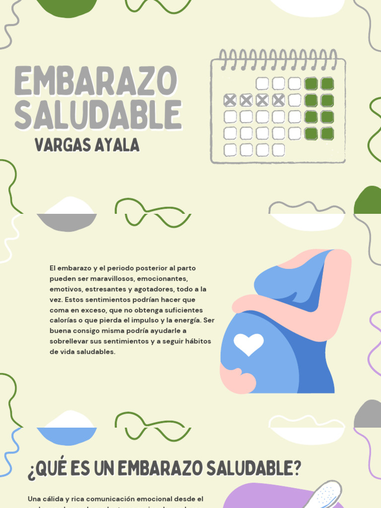 Guía para un Embarazo Saludable | PDF | El embarazo | Alimentos
