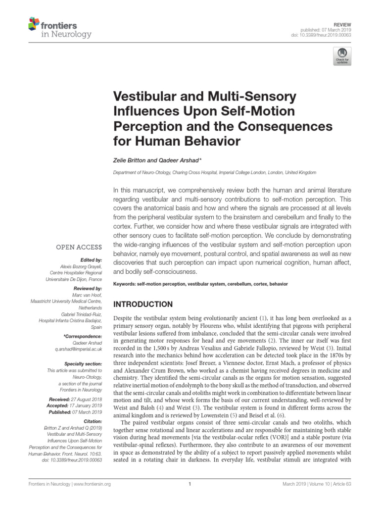 Lectura Complementaria Clase 3 Unidad 1 | PDF | Vestibular System | Cerebellum