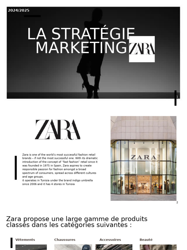 Zara Marketing Strategy 2024/2025 Overview | PDF | Loyalty Program ...