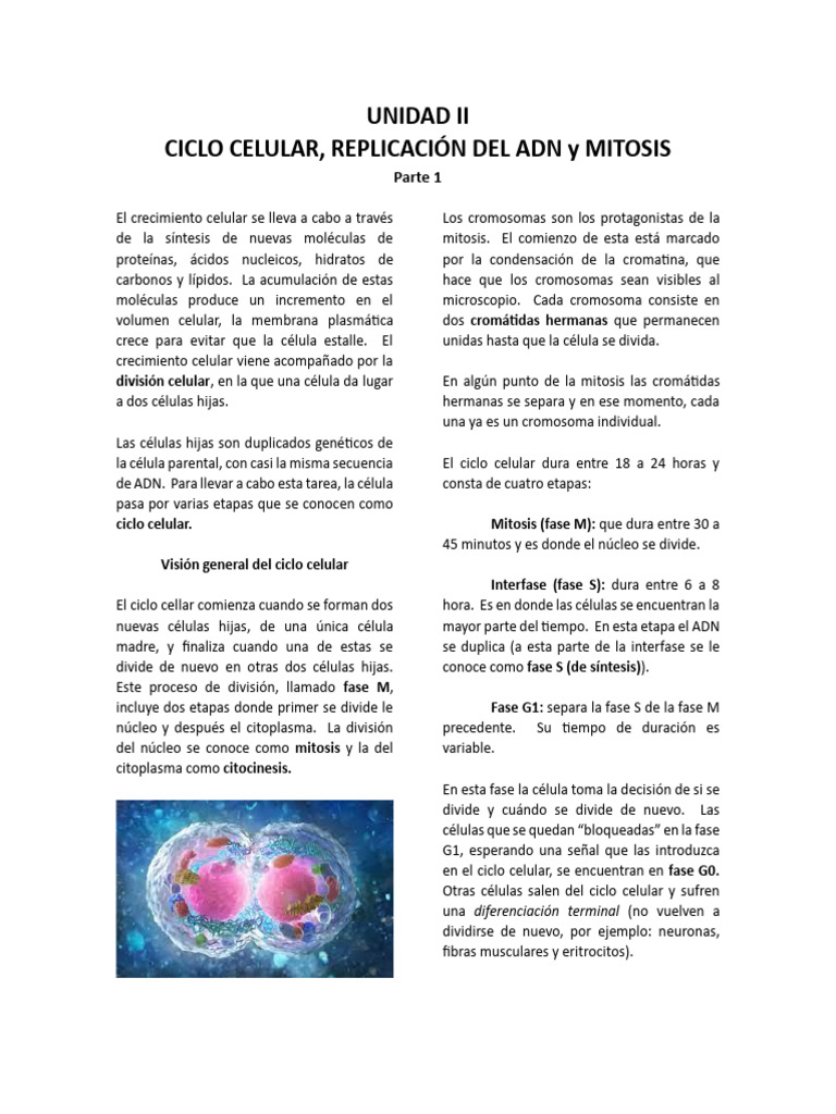 Ciclo Celular y Replicación del ADN | PDF | Adn | Replicación De Adn