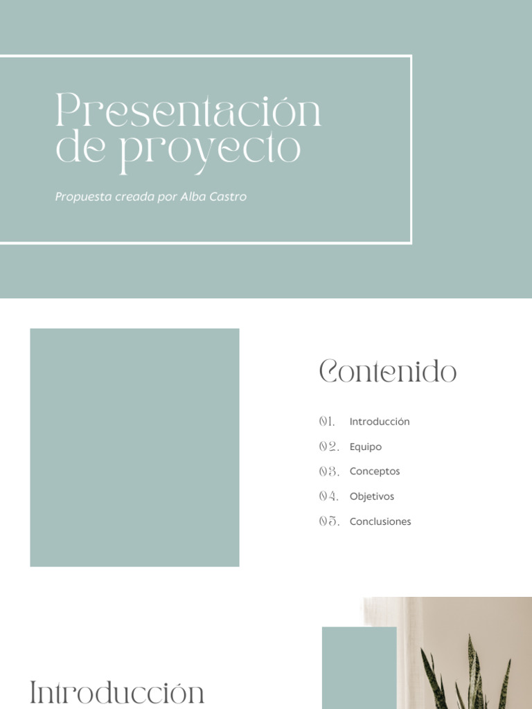 Propuesta de Proyecto por Alba Castro | PDF