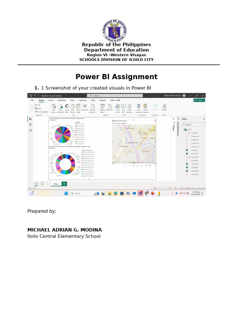 Power BI Assignment - MODINA | PDF