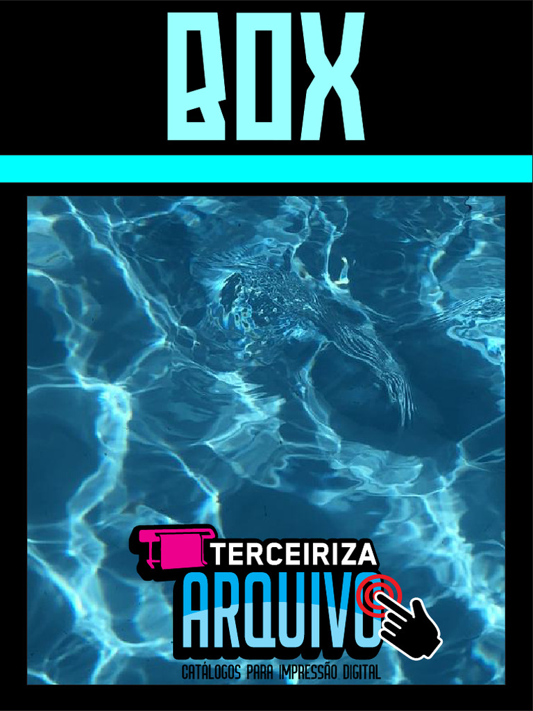 Padrã o - Box 2 | PDF